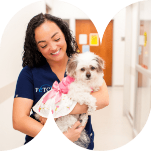Veterinary Jobs at Fetch | Fetch Careers
